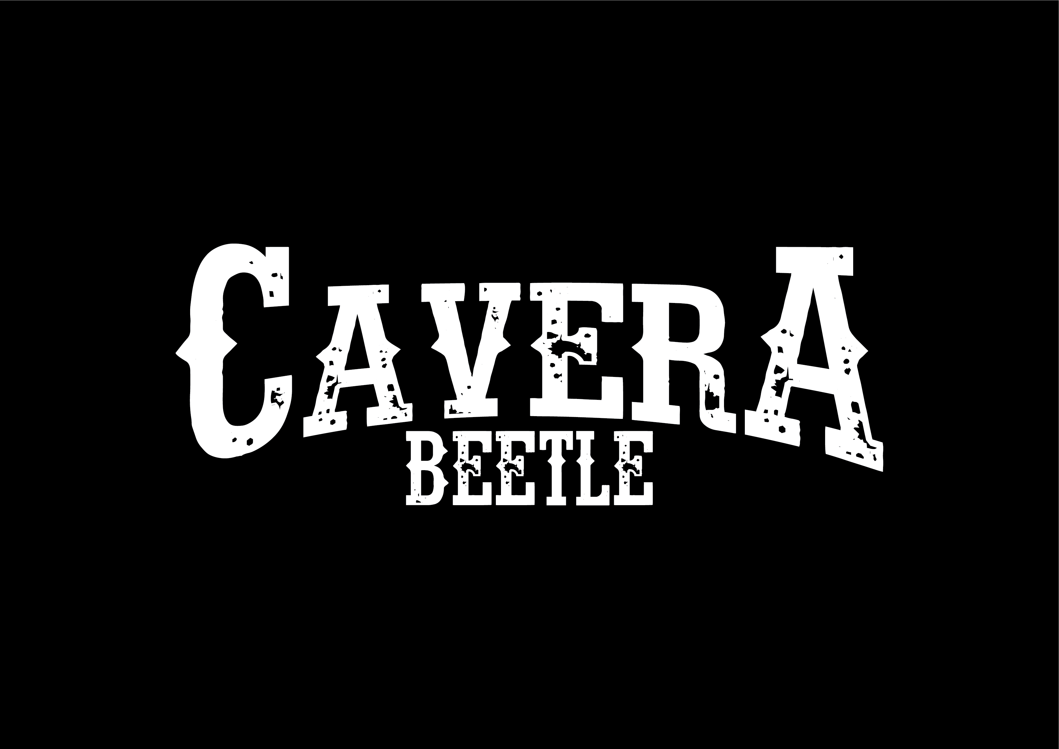 Cavera Beetle – Cavera Beetle Store